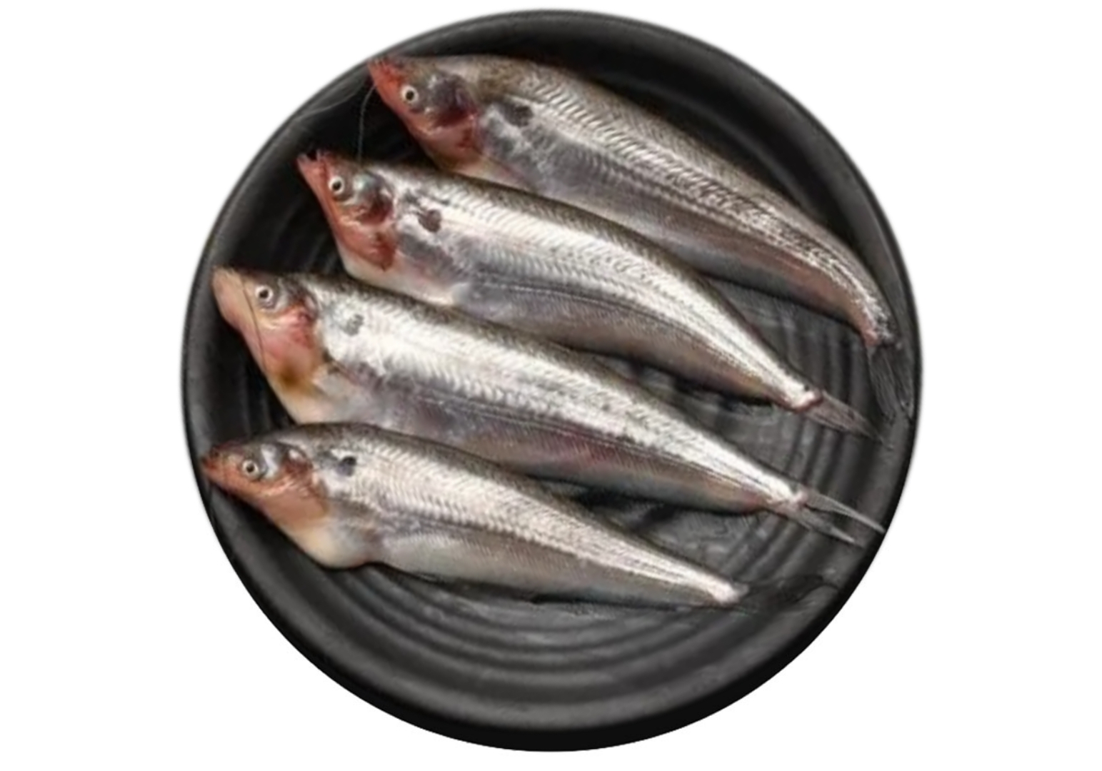 Buy Fresh Fish, Chicken and Mutton Online in Kolkata - Freshtogo.in