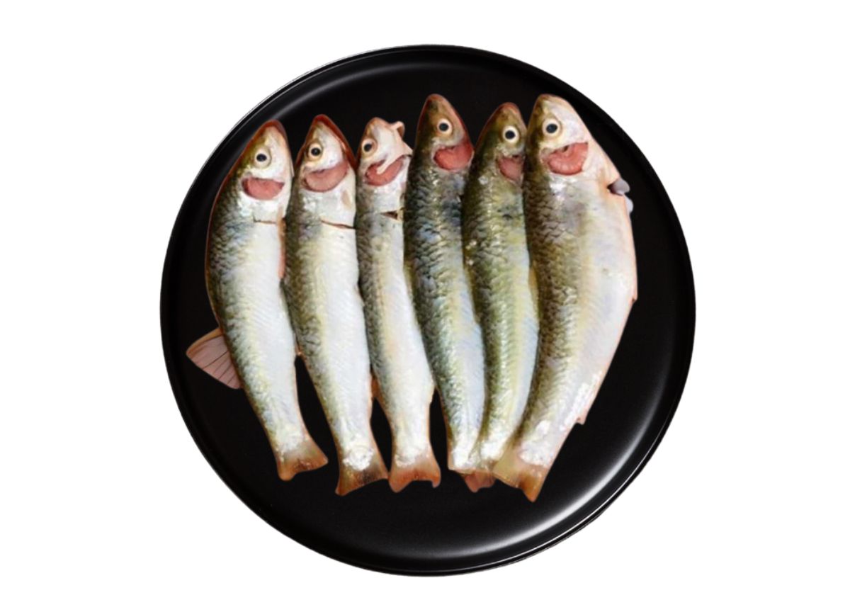 Buy Fresh Fish, Chicken and Mutton Online in Kolkata - Freshtogo.in