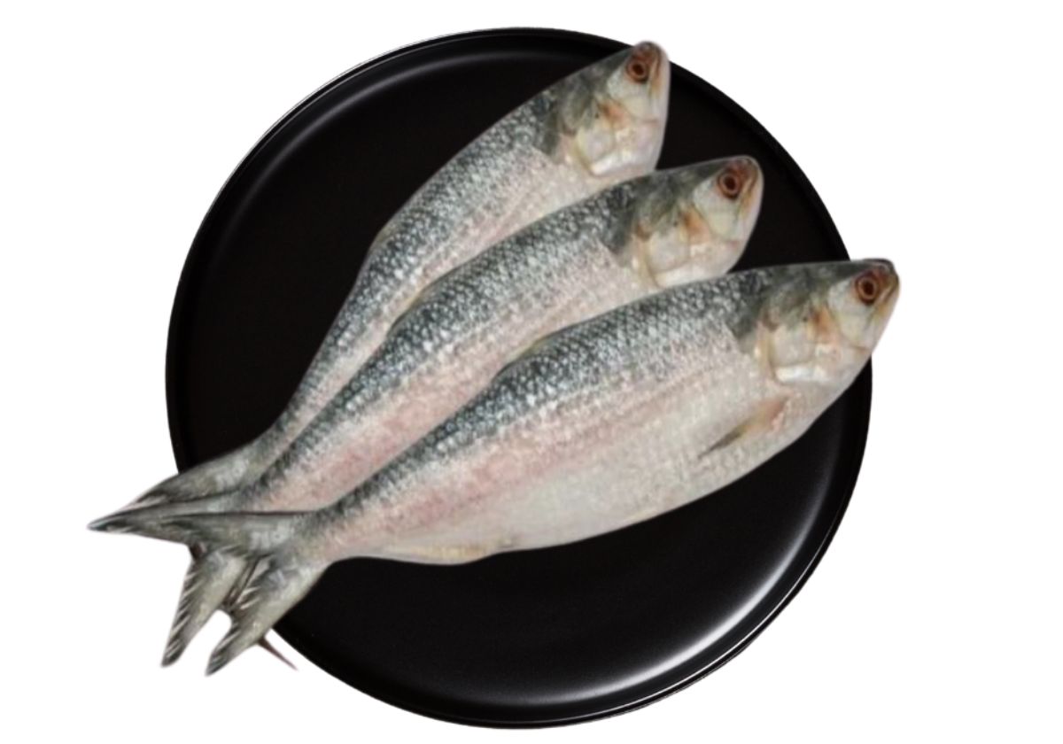 Buy Fresh Fish, Chicken and Mutton Online in Kolkata - Freshtogo.in
