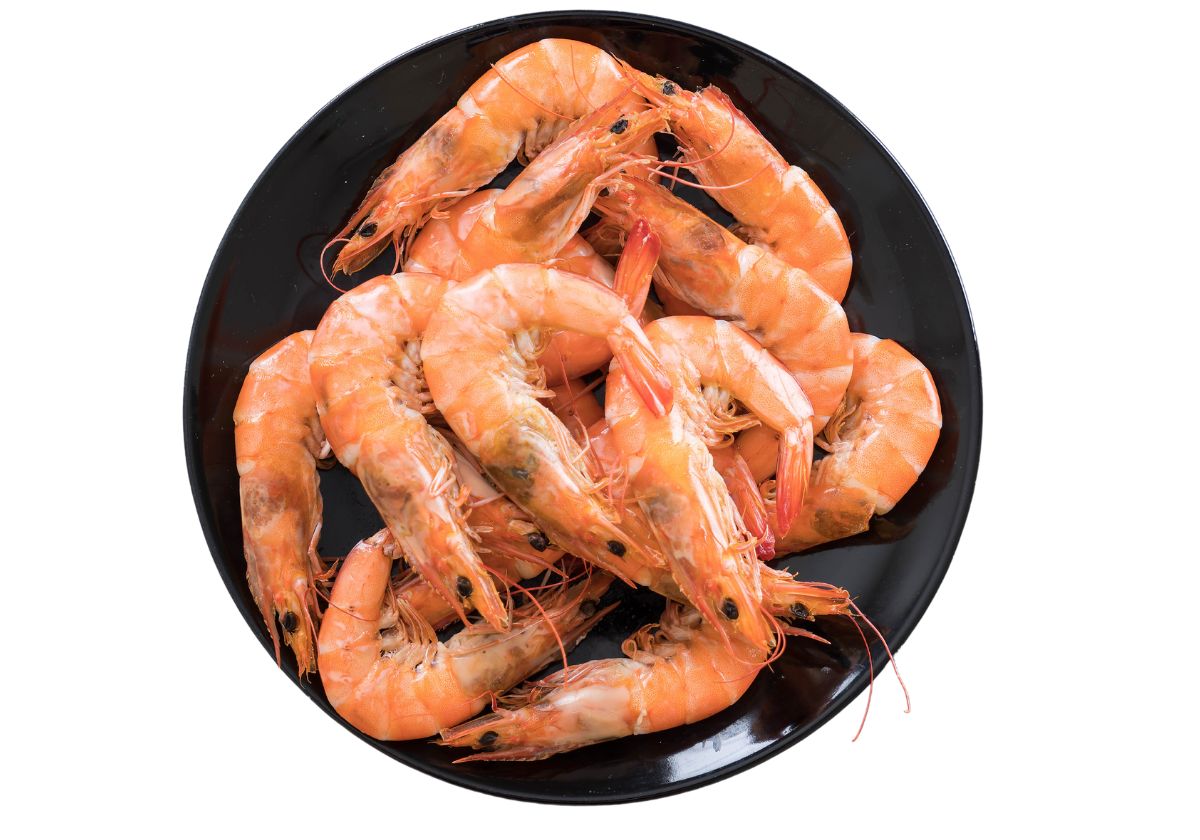 Buy Fresh Fish, Chicken and Mutton Online in Kolkata - Freshtogo.in