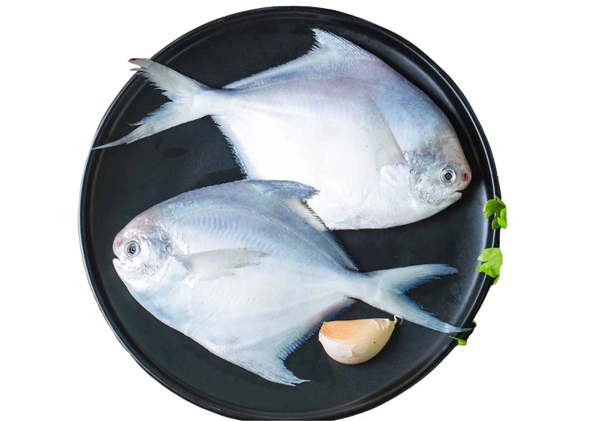 Buy Fresh Fish, Chicken and Mutton Online in Kolkata - Freshtogo.in