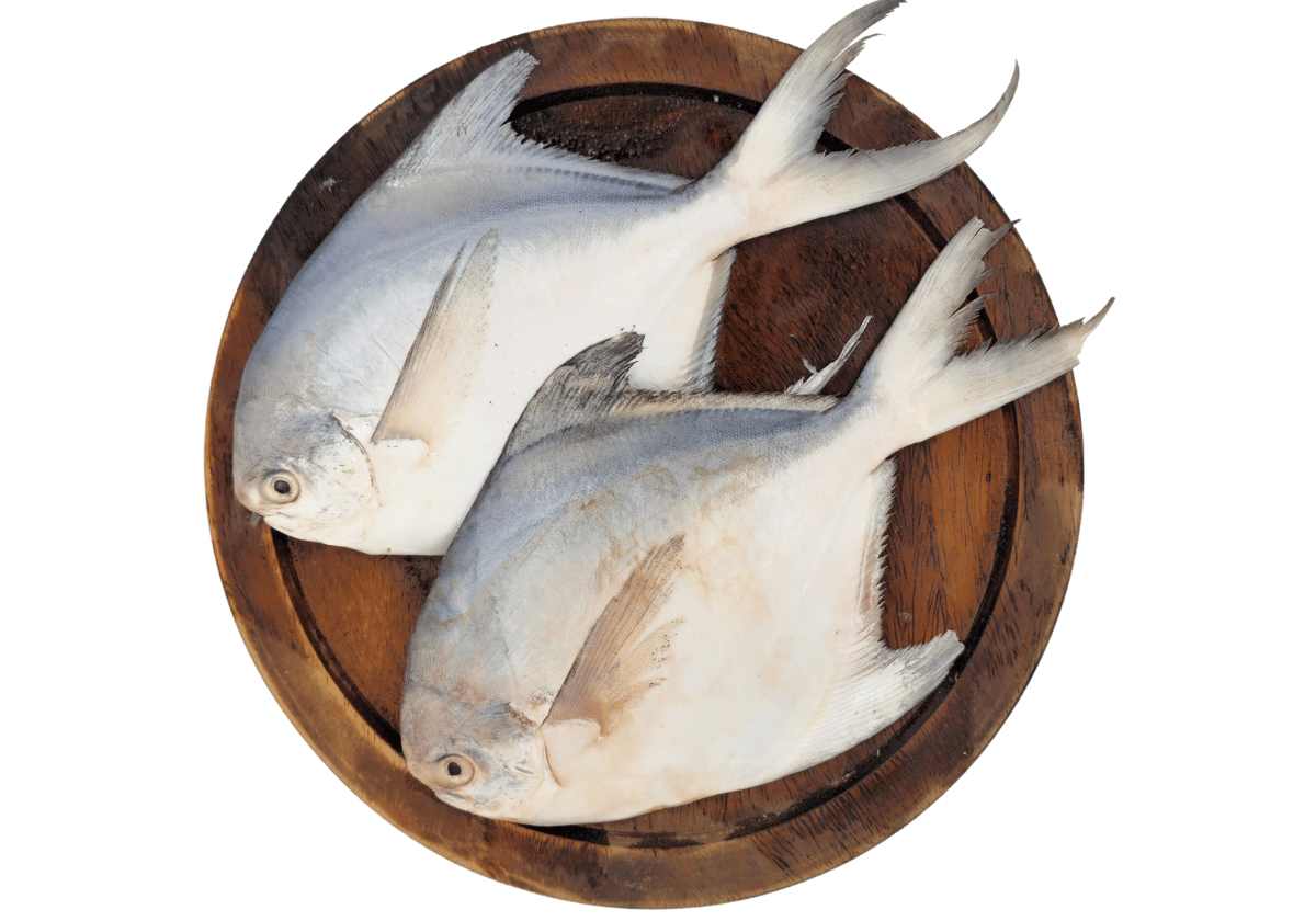 Buy Fresh Fish, Chicken and Mutton Online in Kolkata - Freshtogo.in