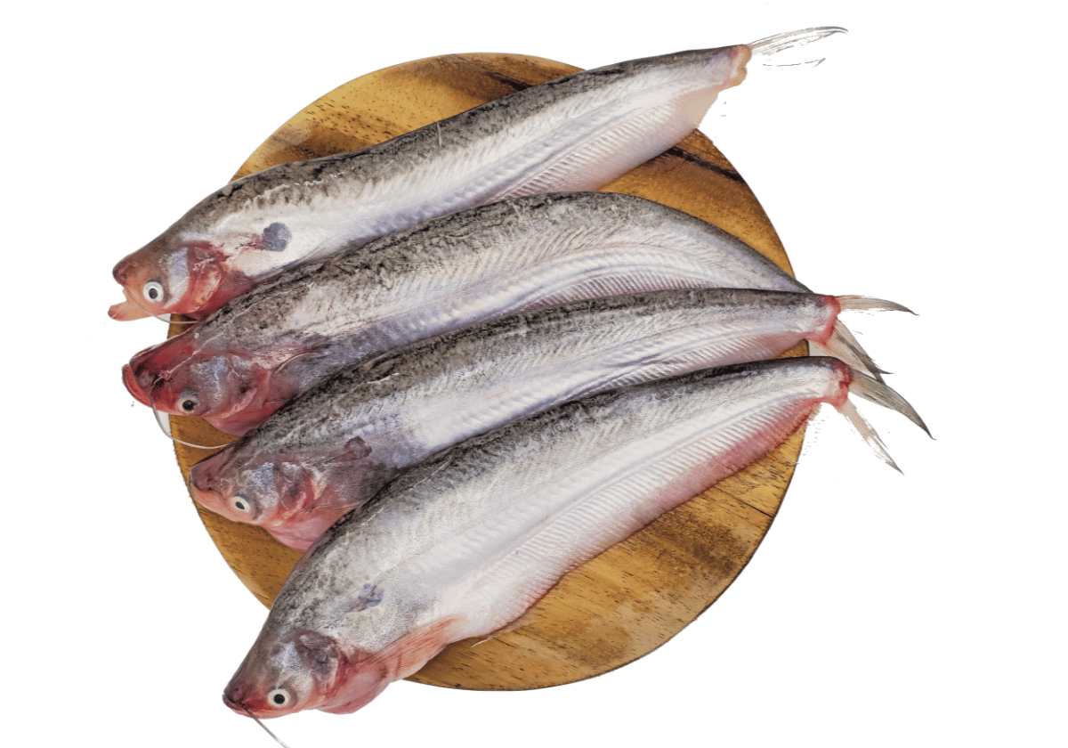 Buy Fresh Fish, Chicken and Mutton Online in Kolkata - Freshtogo.in