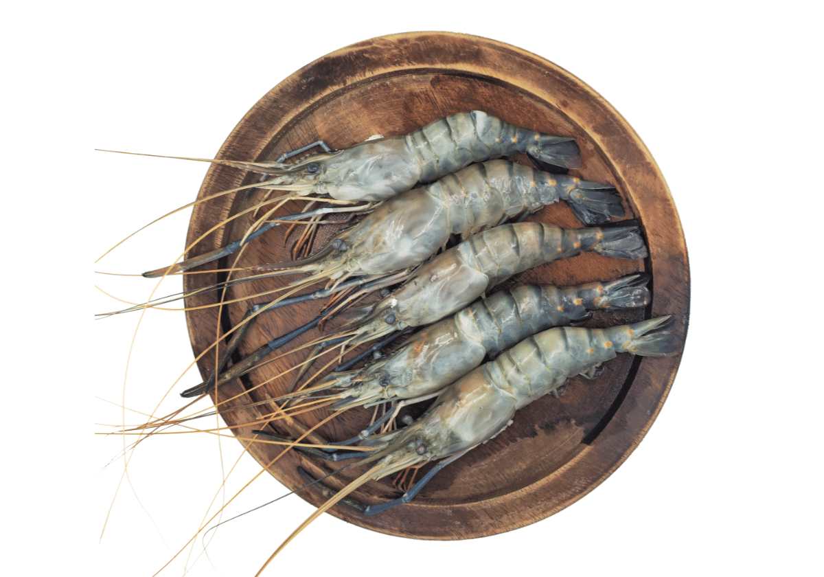 Buy Fresh Fish, Chicken and Mutton Online in Kolkata - Freshtogo.in