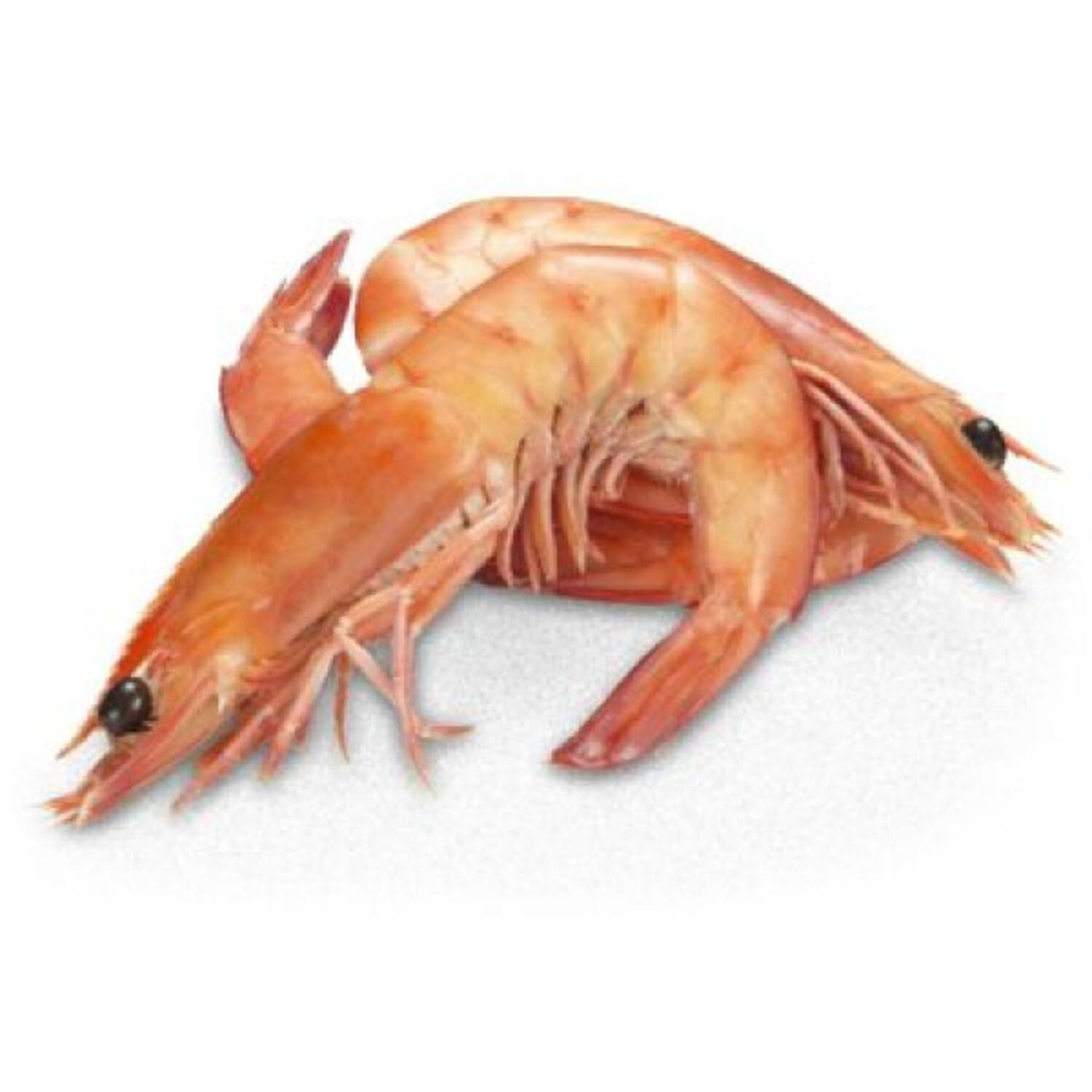 Buy Fresh Fish, Chicken and Mutton Online in Kolkata - Freshtogo.in