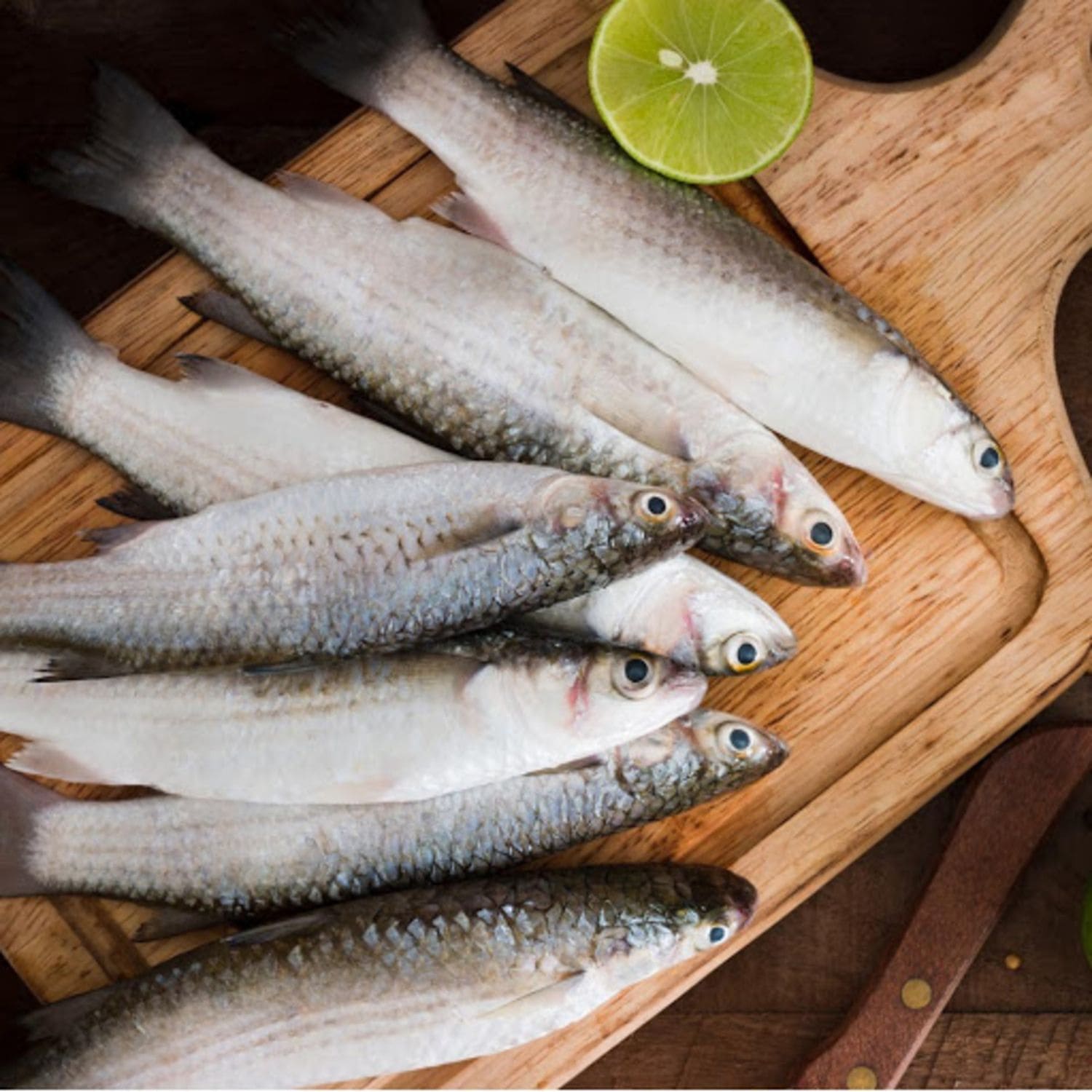 Buy Fresh Fish, Chicken and Mutton Online in Kolkata - Freshtogo.in