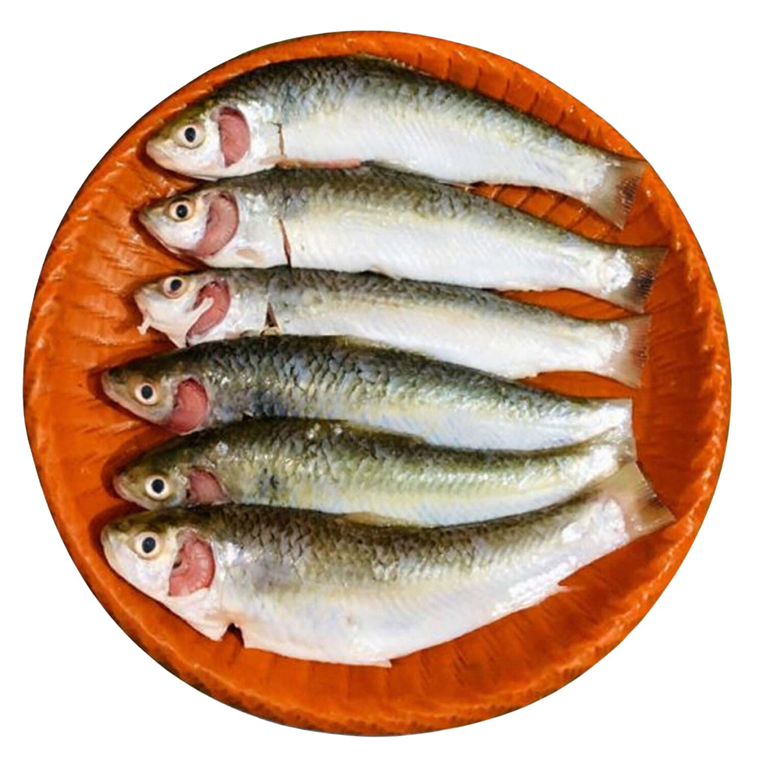 Buy Fresh Fish, Chicken and Mutton Online in Kolkata - Freshtogo.in