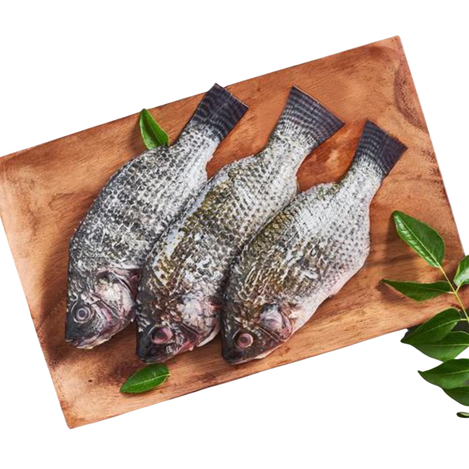 Buy Fresh Fish, Chicken and Mutton Online in Kolkata - Freshtogo.in