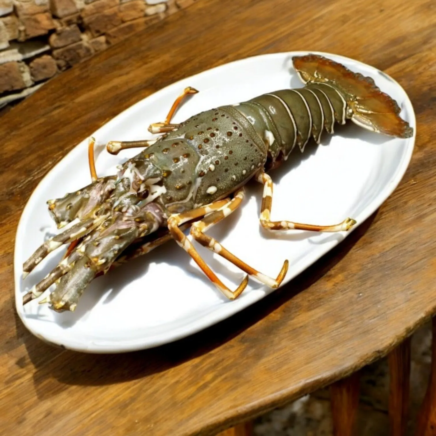 Buy Fresh Lobster Medium Size Online - Freshtogo.in
